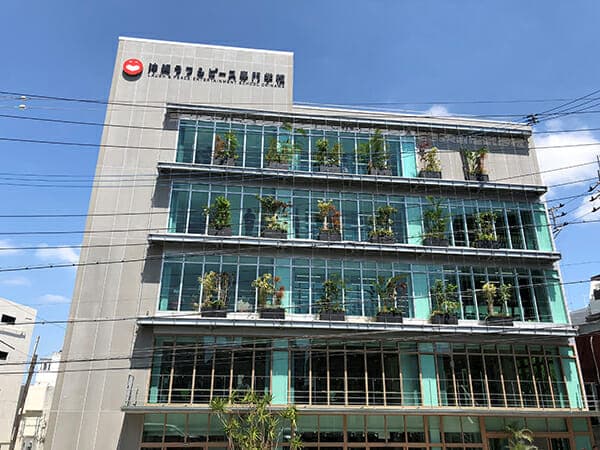 「沖縄ラフ&ピース専門学校」開校 | COAMIX｜株式会社コアミックス